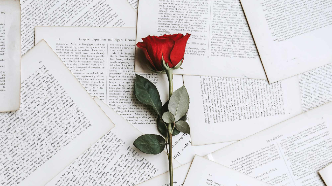 ¿Por qué el 23 de abril se regala un libro y una rosa?, descubre el ...